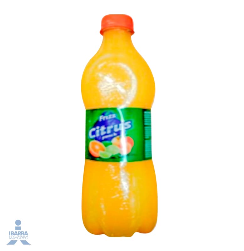 Bebida Frizz Citrus Punch 600 ml – Mayorista Ibarra